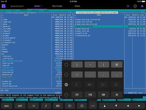 iOS-Terminal-Client Prompt unterstützt neue iPhone- und iPad-Funktionen ...