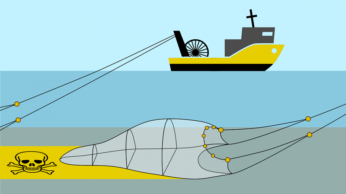 Fischerei am Abgrund - Klimawandel und Überfischung gefährden Bestände ...