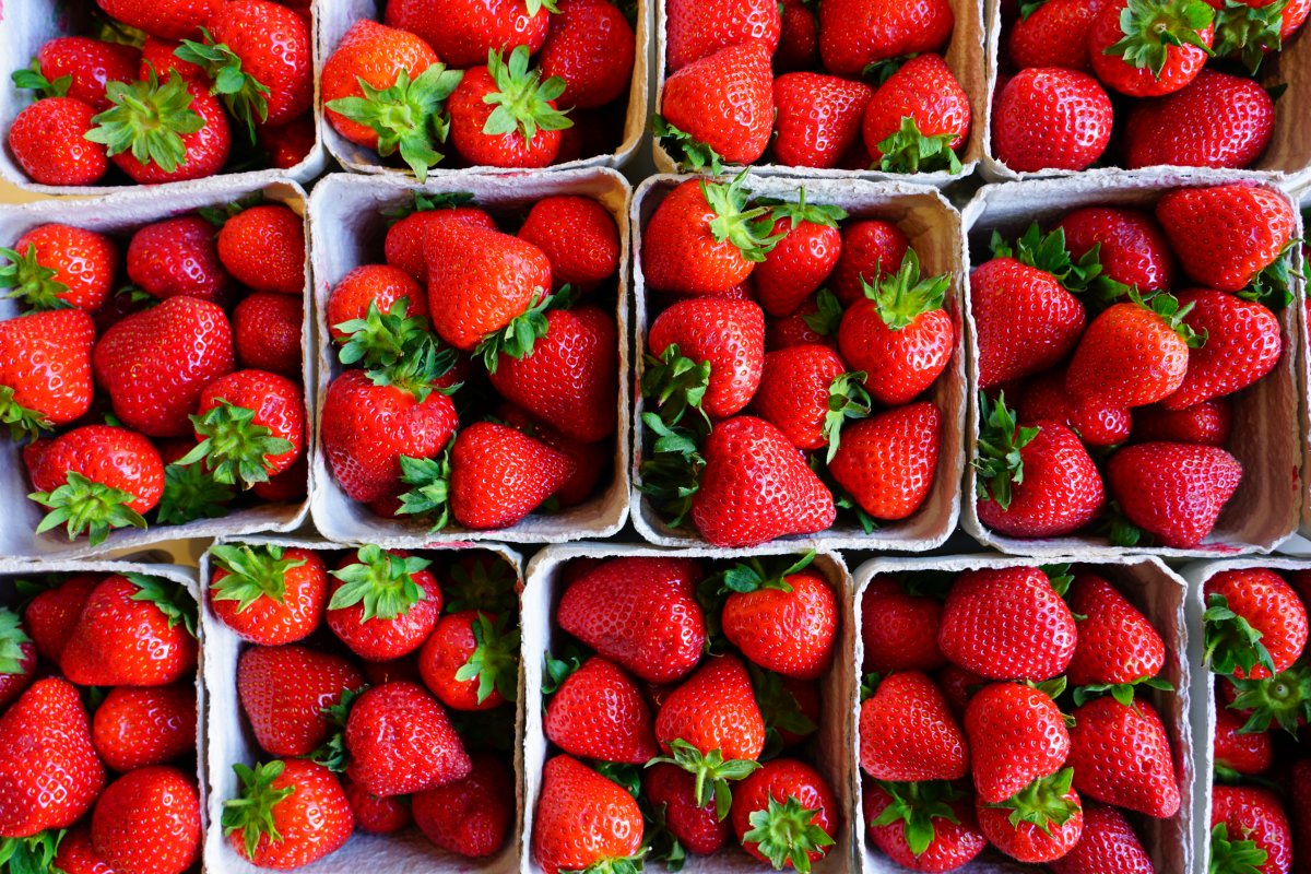 OpenAI: Project Strawberry to be presented in the fall | heise online