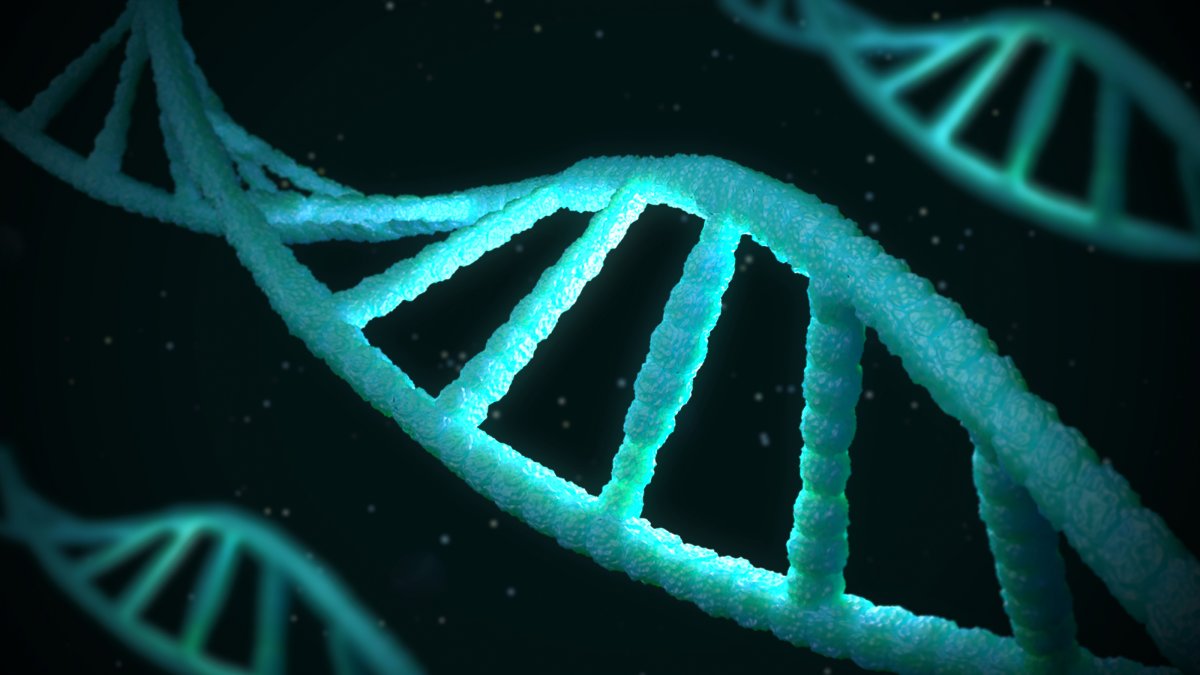 More precision in DNA manipulation: AI helped with development | heise ...