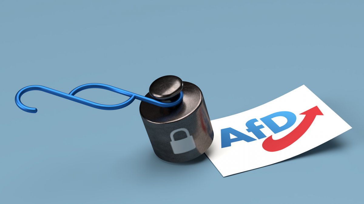 Marken-Eklat: AfD verliert Kontrolle über ihr eigenes Partei-Logo ...