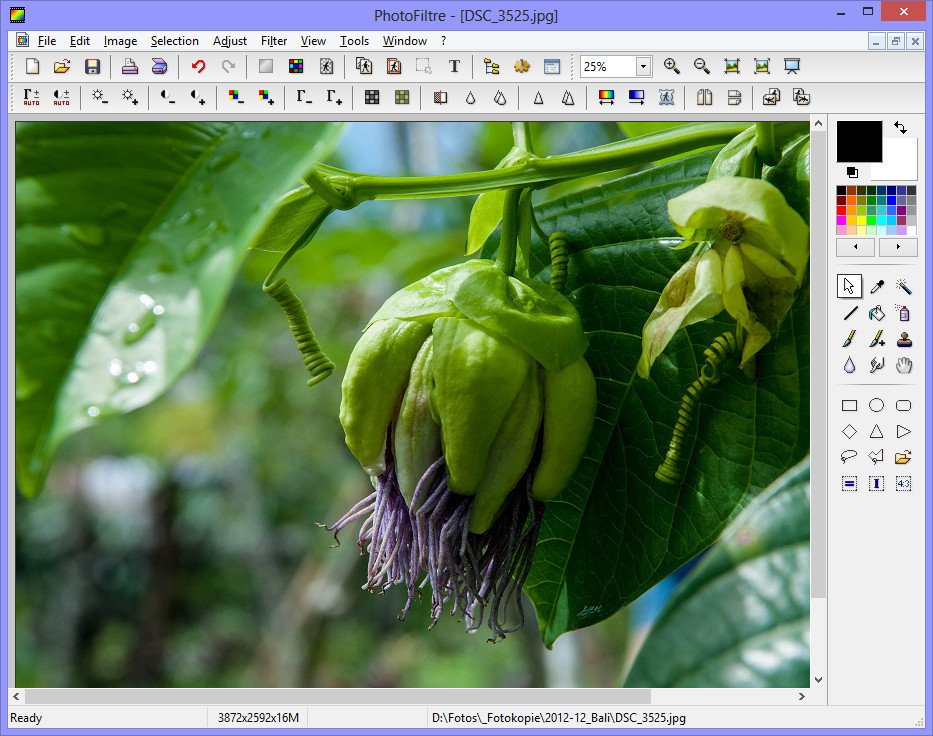PhotoFiltre | heise Download