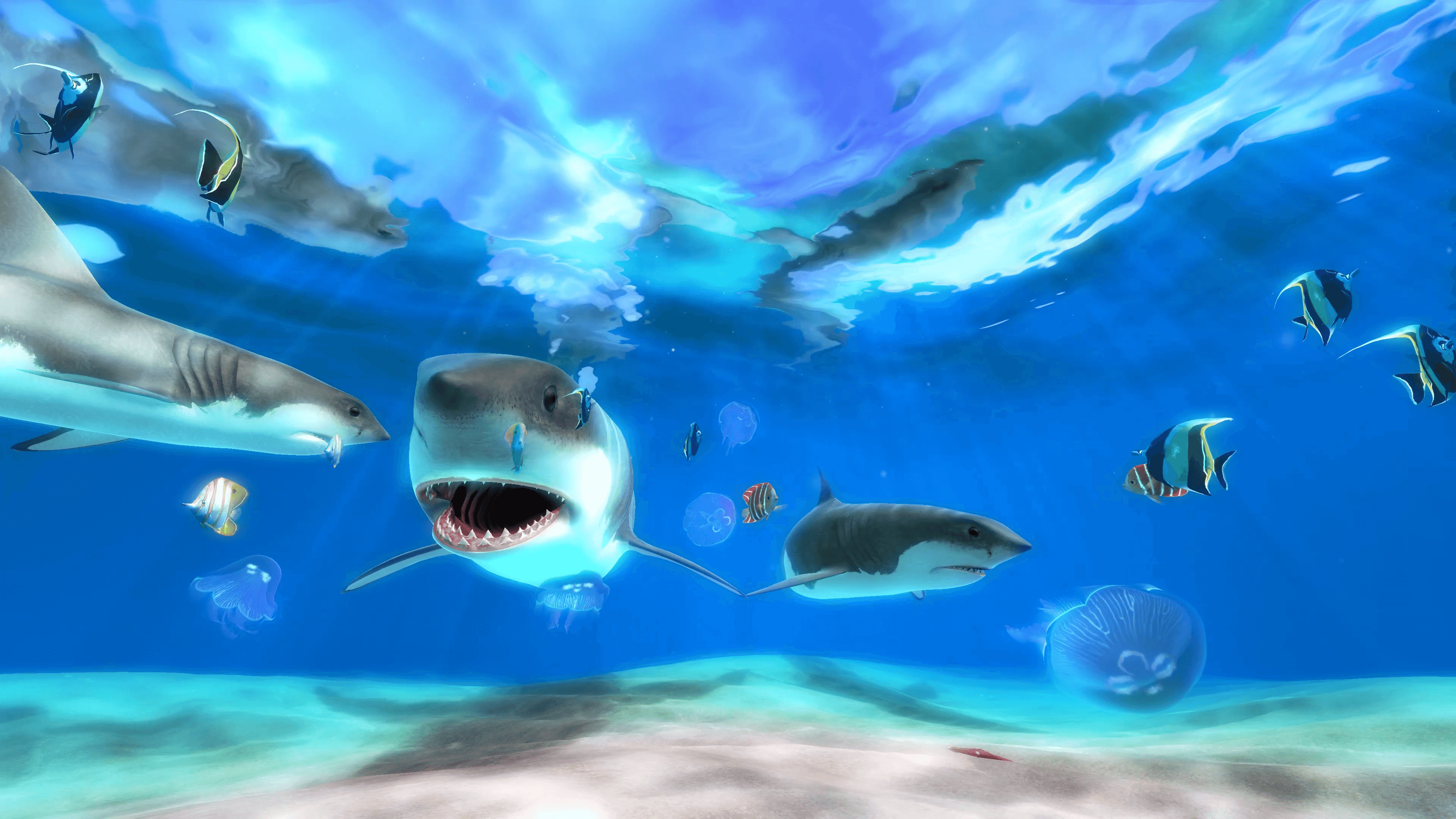 Live Aquarium 4K - Vollversion | Heise