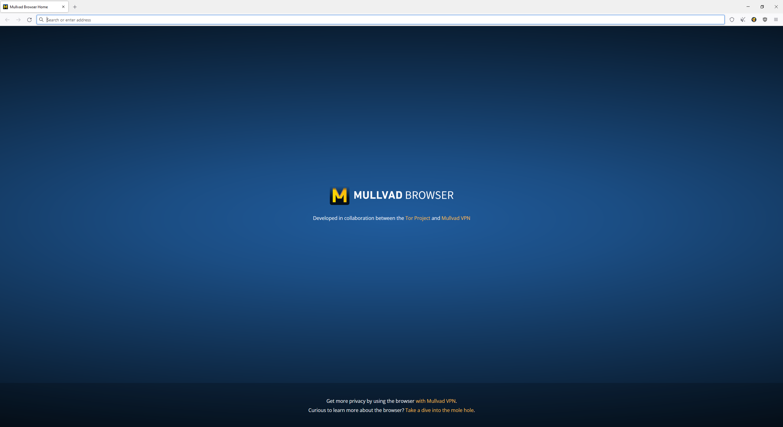 Mullvad Browser - Gratis-Download von heise.de