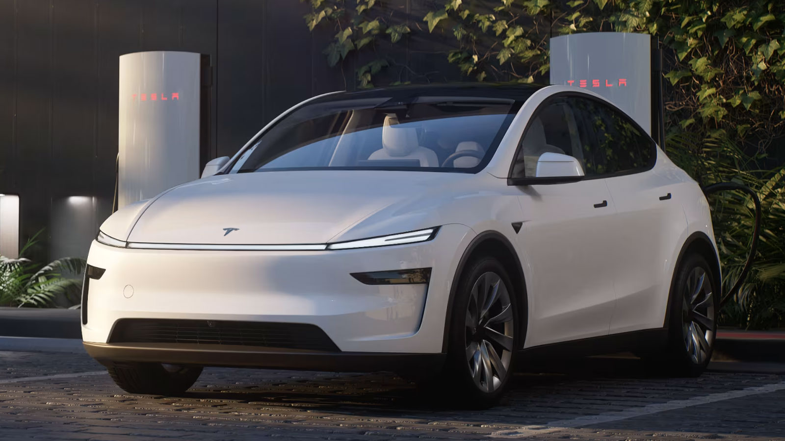 Model y hp store