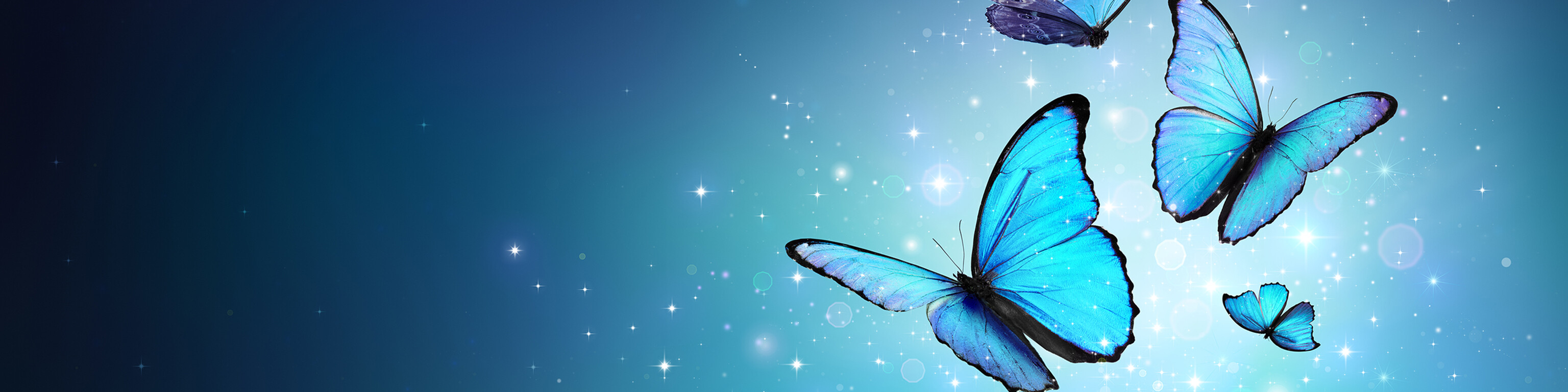 Das Python Bootcamp: Der komplette Programmierkurs für Anfänger | heise ...