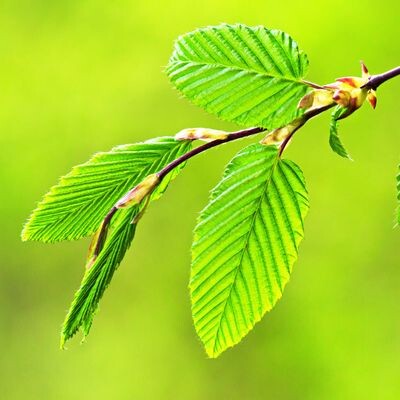 betterCode() Spring 2025 | heise academy