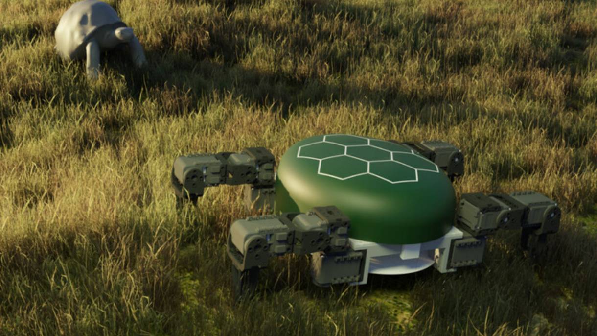 Energy efficiency: Four-legged robots should move like turtles | heise ...