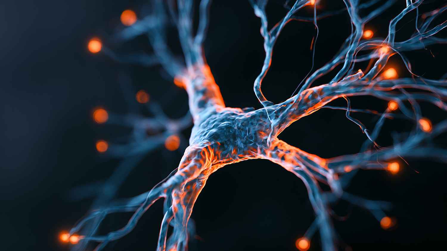 Longevity: Stanford-Bluttest bestimmt biologisches Zell-Alter | Telepolis