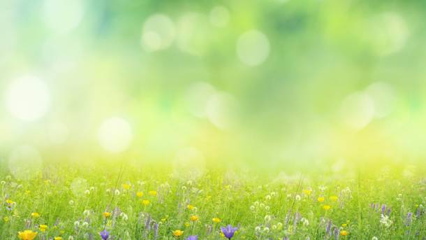 Spring Framework 7 brings new concept for null safety and relies on Java 25 | heise online