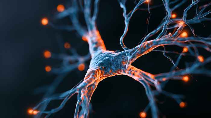 Longevity: Stanford-Bluttest bestimmt biologisches Zell-Alter | Telepolis