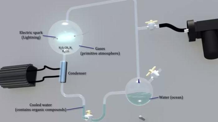 Evolution in der Ursuppe | Telepolis